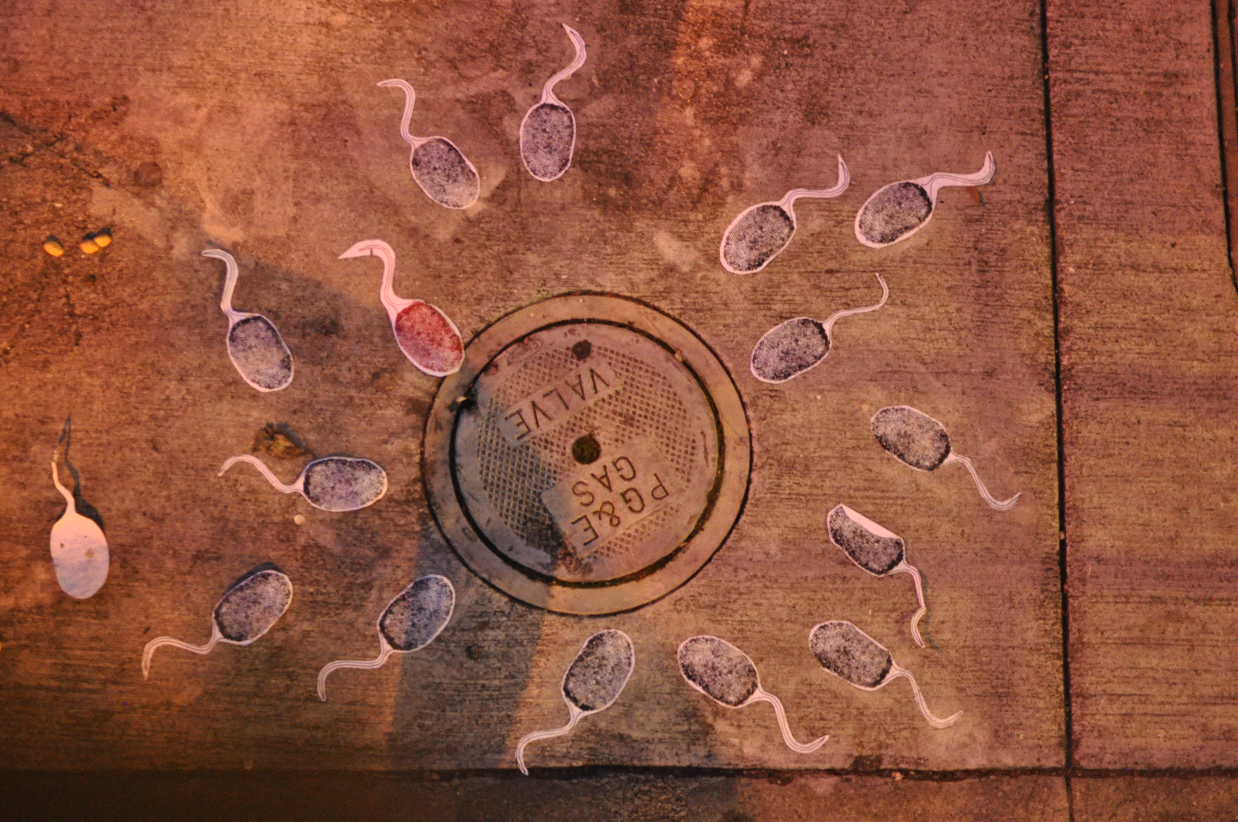 The Moment of Conception | Uptown Almanac