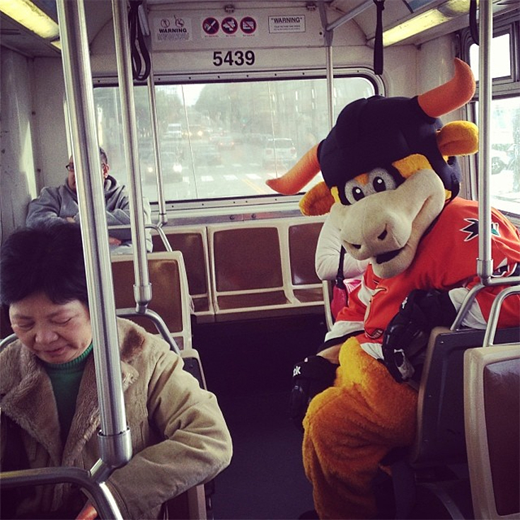 SF Bulls Mascot Settles For Muni | Uptown Almanac