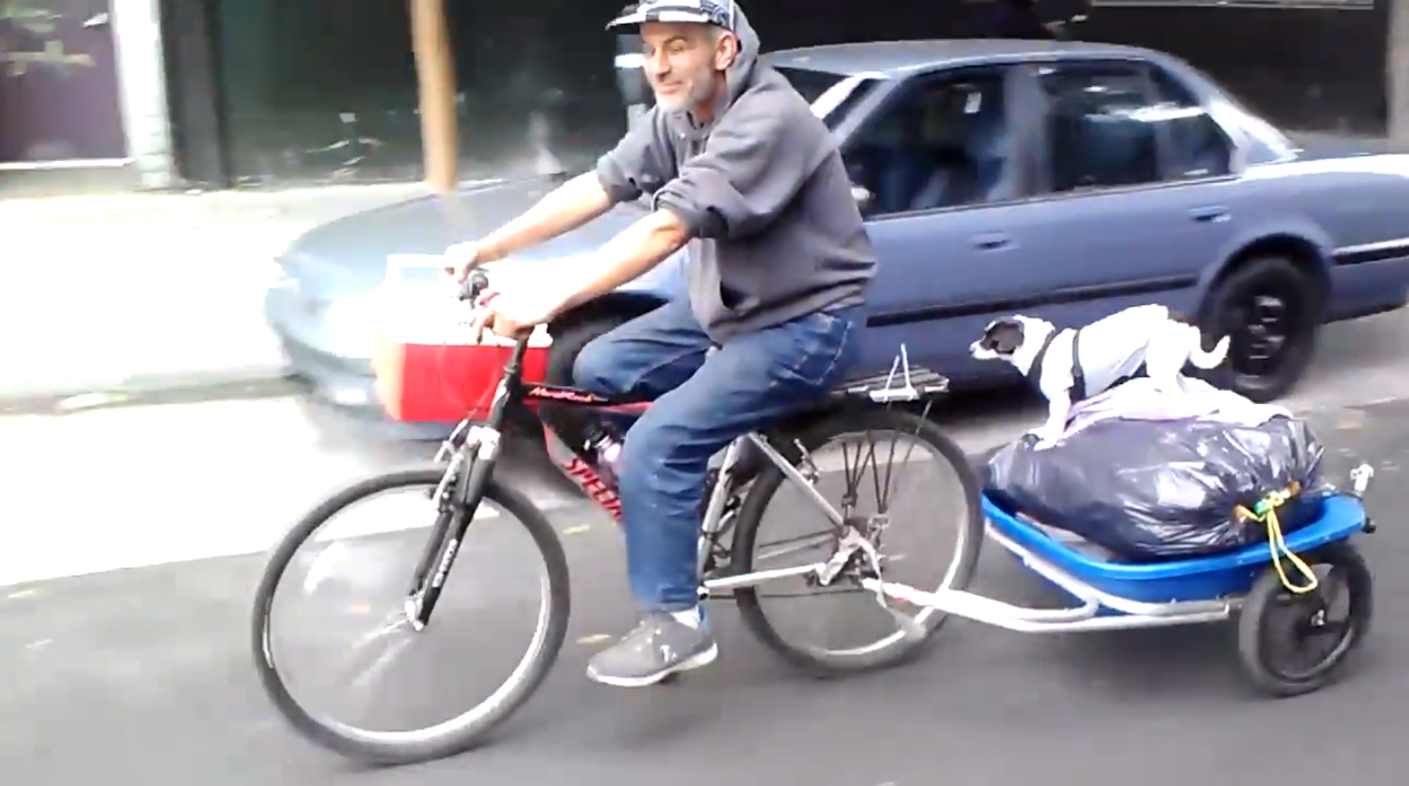 Stinky Streets Video Zine Shows Us How Stinky Our Stinky Streets Are